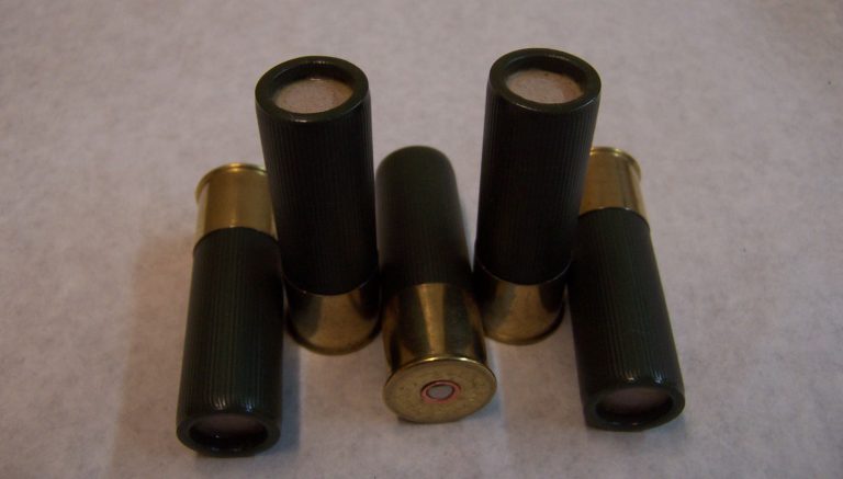 The Perfect Shot 8 Gauge blanks. Max load. 1 round